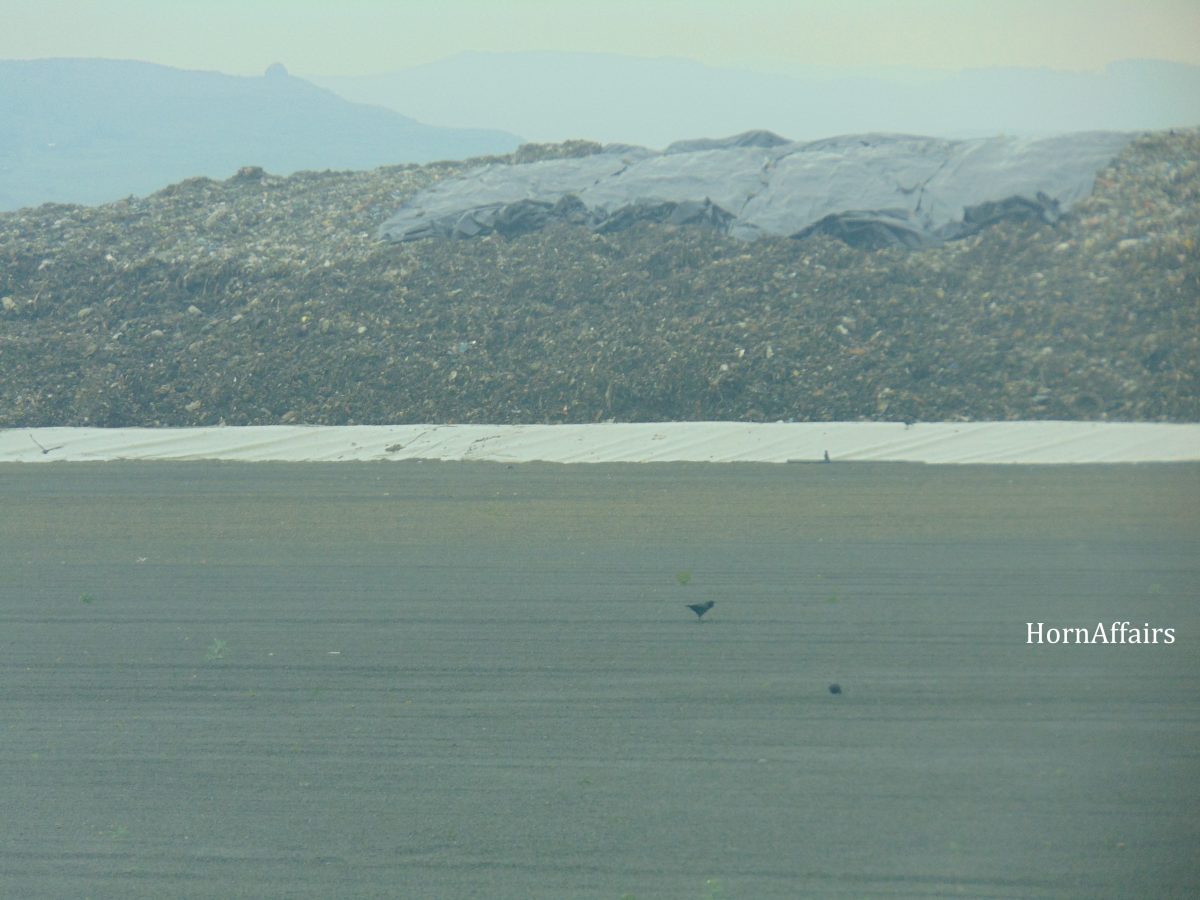 Sendafa Landfill controversy: The farmers’ version of the story – Horn ...