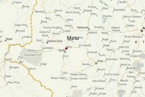 Tigrayan businessmen targeted in Illubabor zone – Horn Affairs